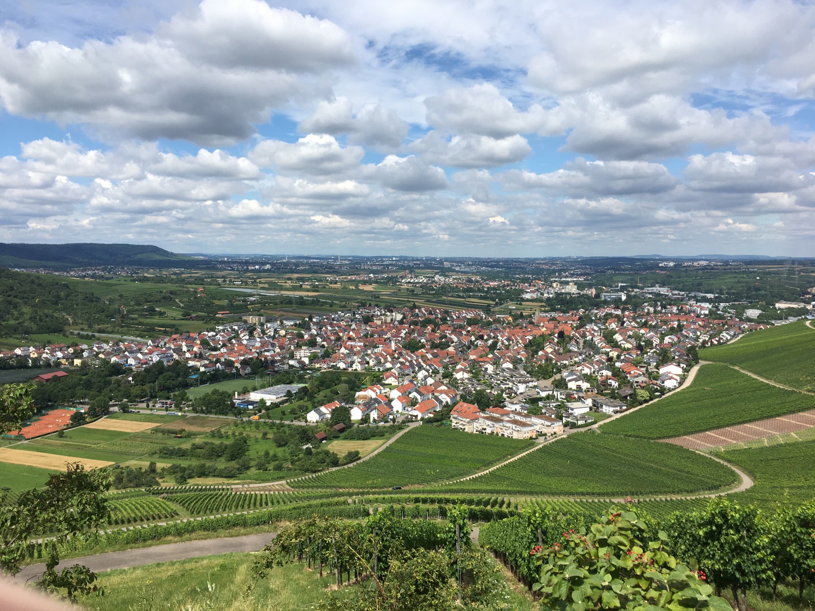 Restaurant Weinstube Anker in Weinstadt-Schnait