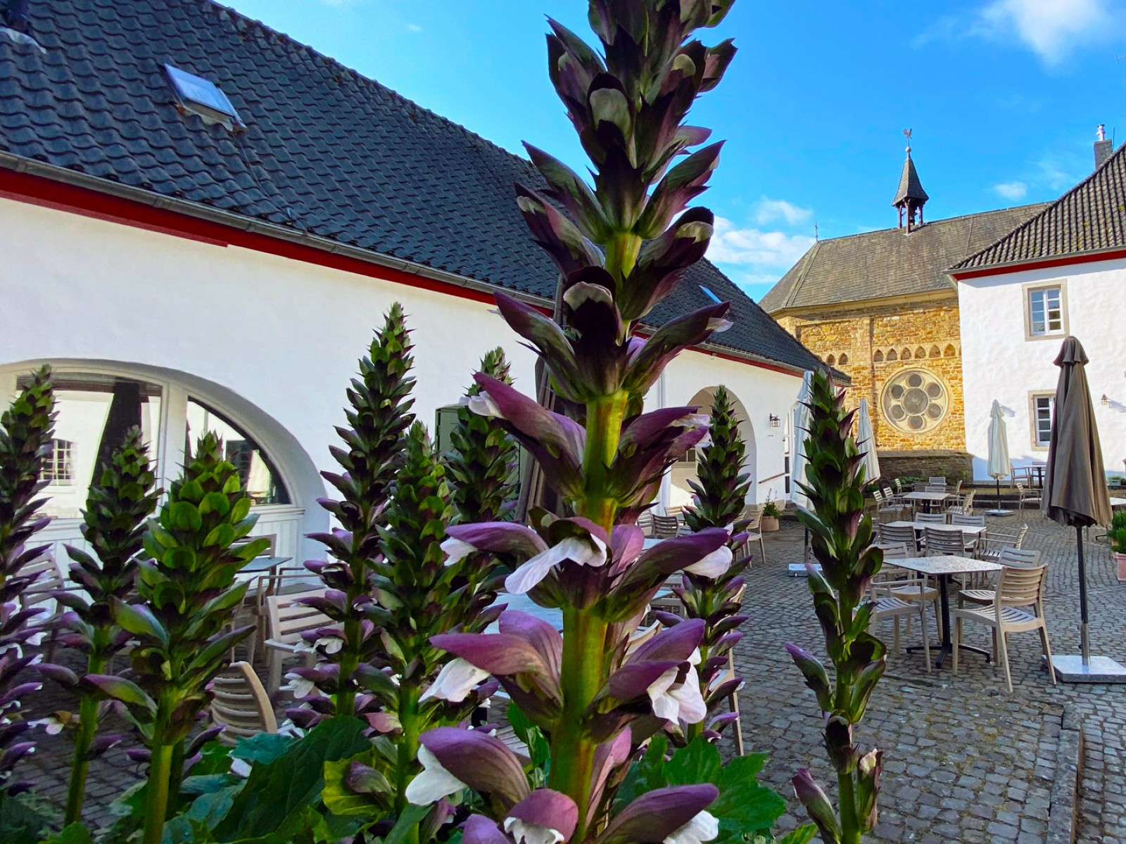 Restaurant Gasthaus Küchenhof in Odenthal